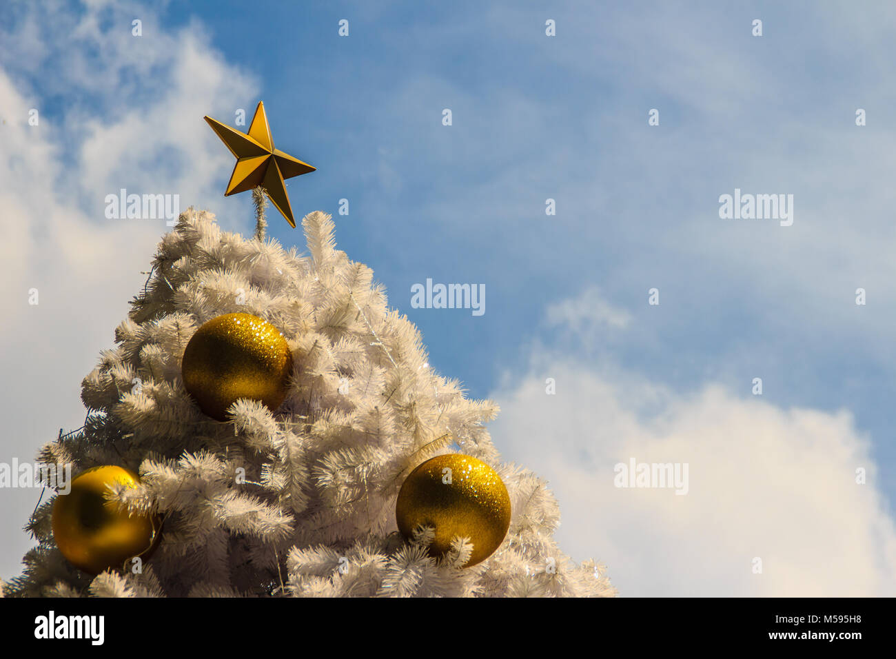 Beautiful Golden star on top of the outdoor white chrismas tree with ...