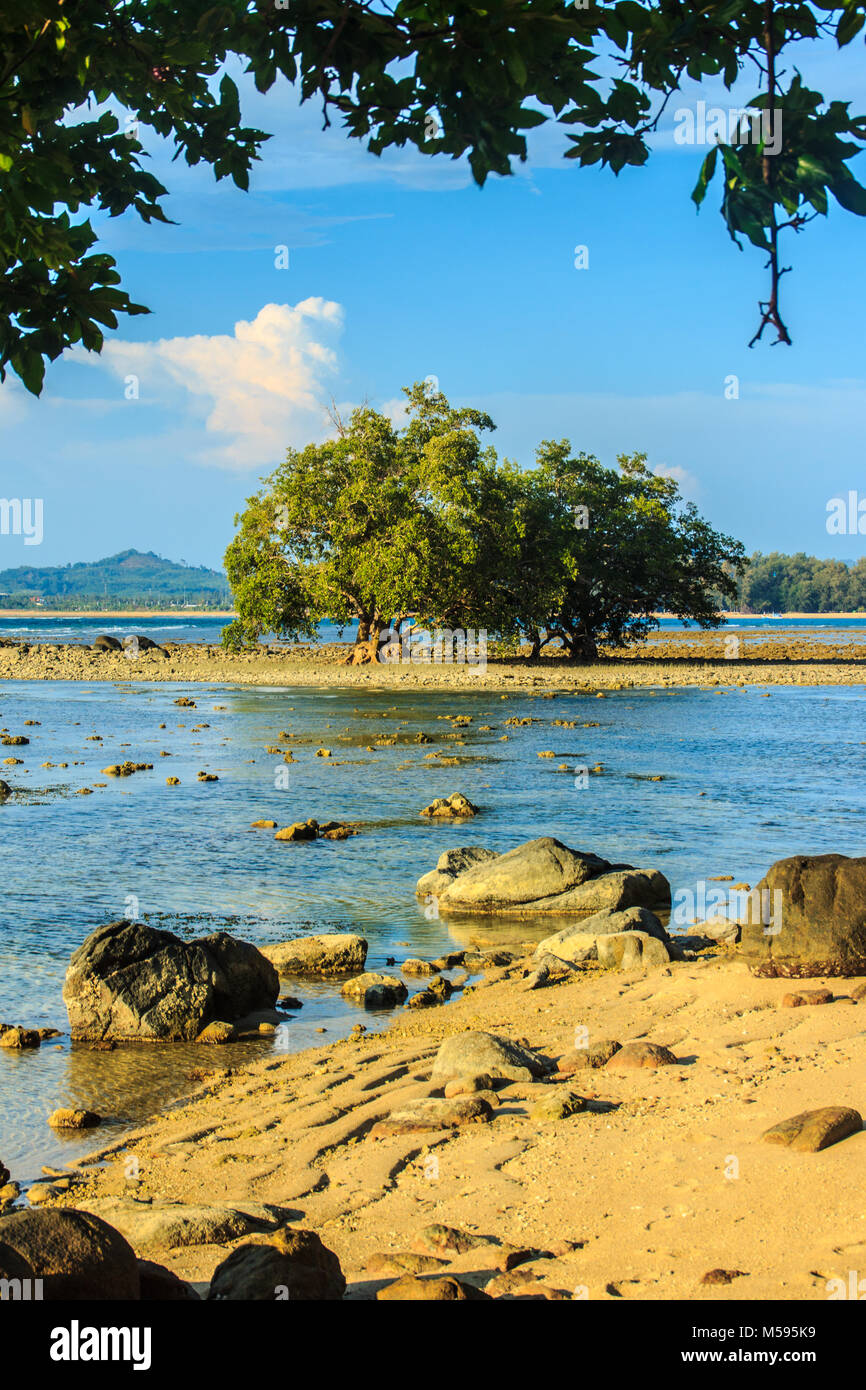 Lonely remote island with rock beach and tree when the sea water ...