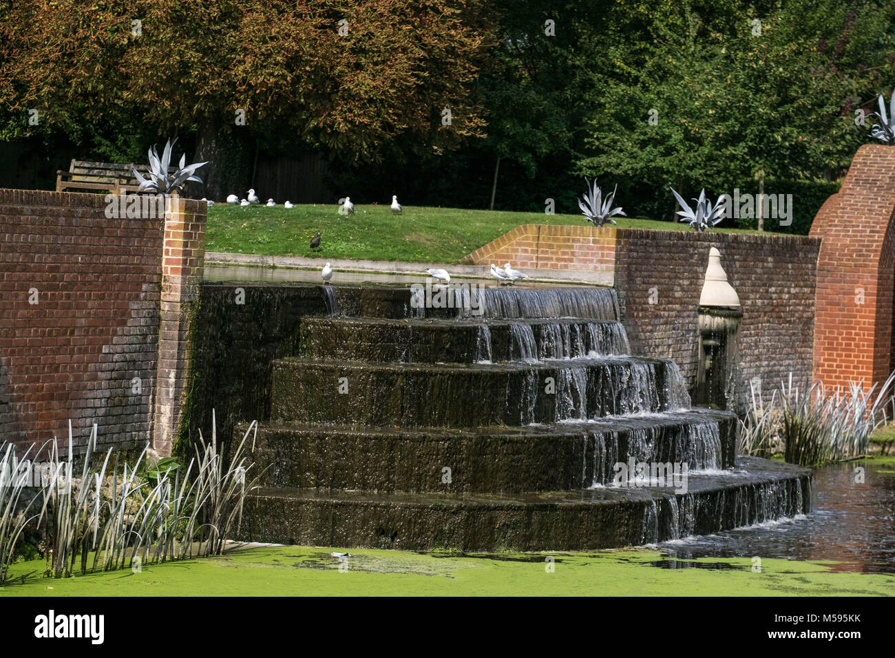 victorian water garden Stock Photo - Alamy