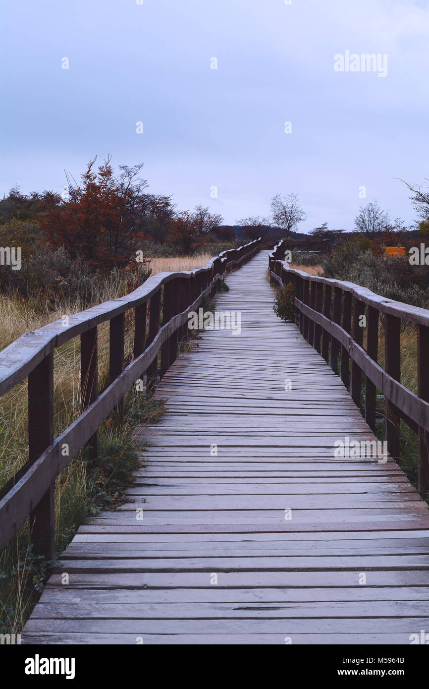 Walkway in park hi-res stock photography and images - Alamy