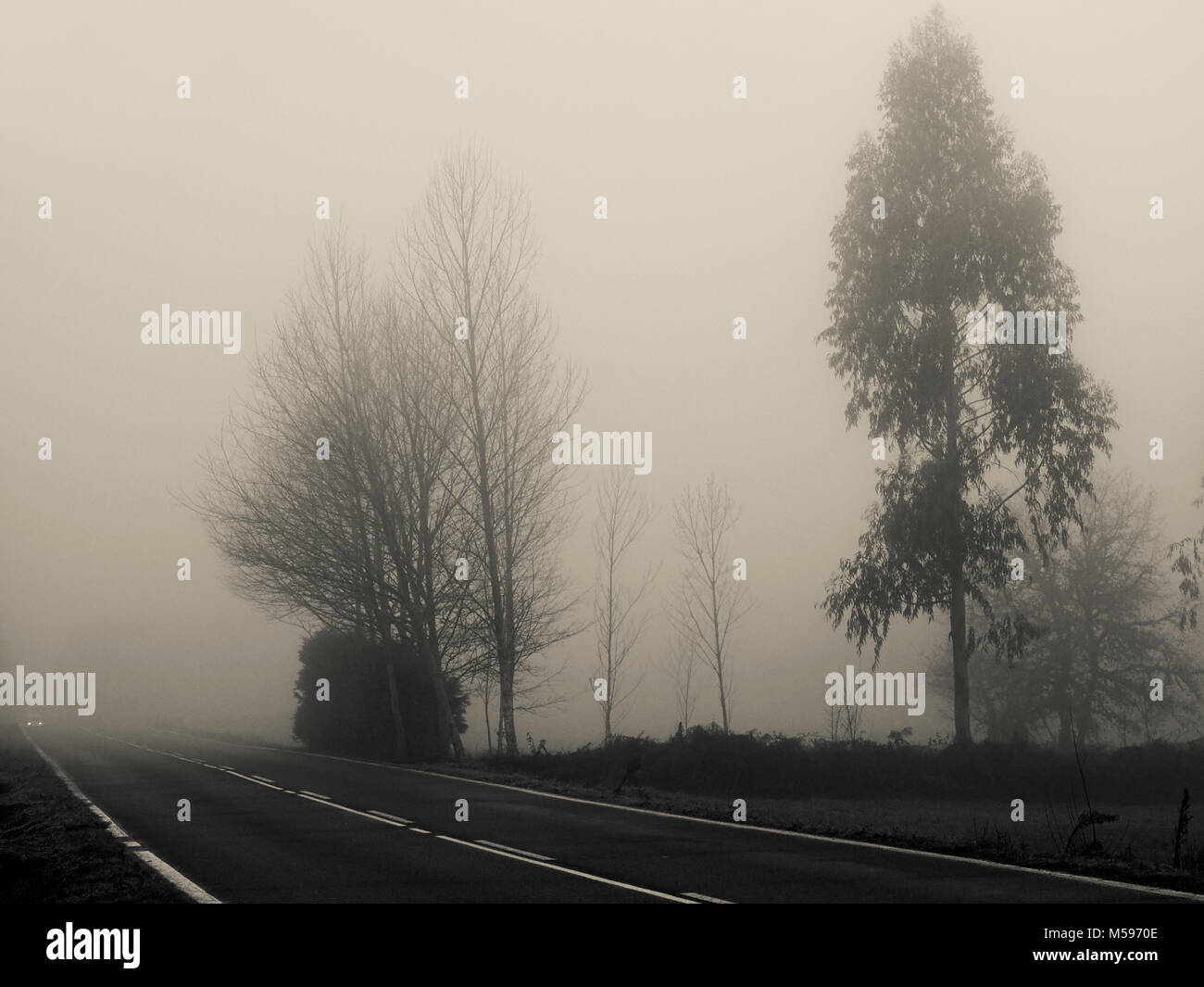 Car driving on a road wrapped in dense fog, with poor visibility Stock ...