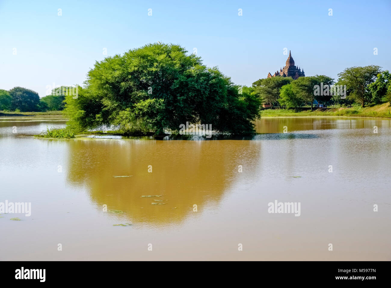 A big lake with a tree and a pagoda of Bagan in the plains of the ...