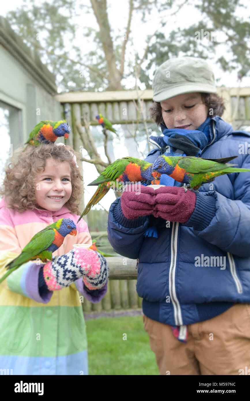 a group of children interacting with parakeets in a zoo enclosure Stock ...