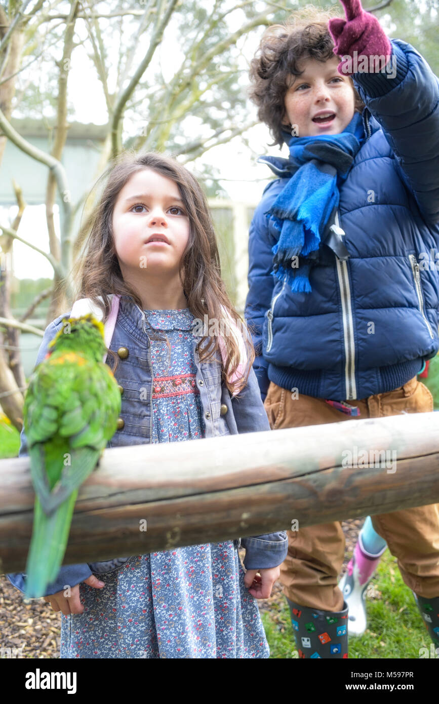 a group of children interacting with parakeets in a zoo enclosure Stock ...