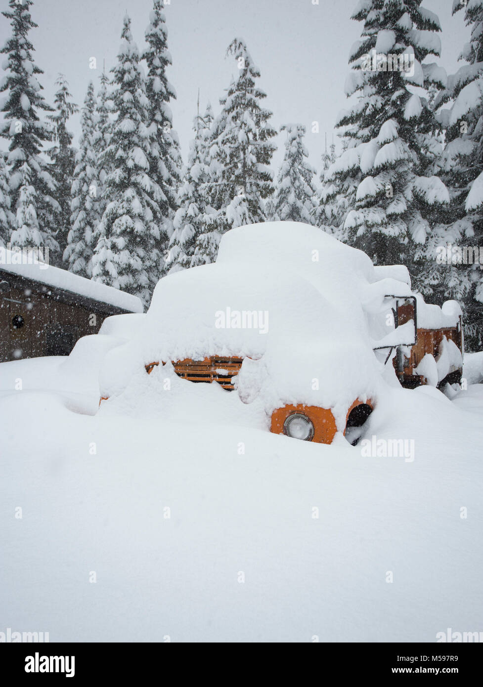 1970 international loadstar 1700a dump truck hi-res stock photography ...