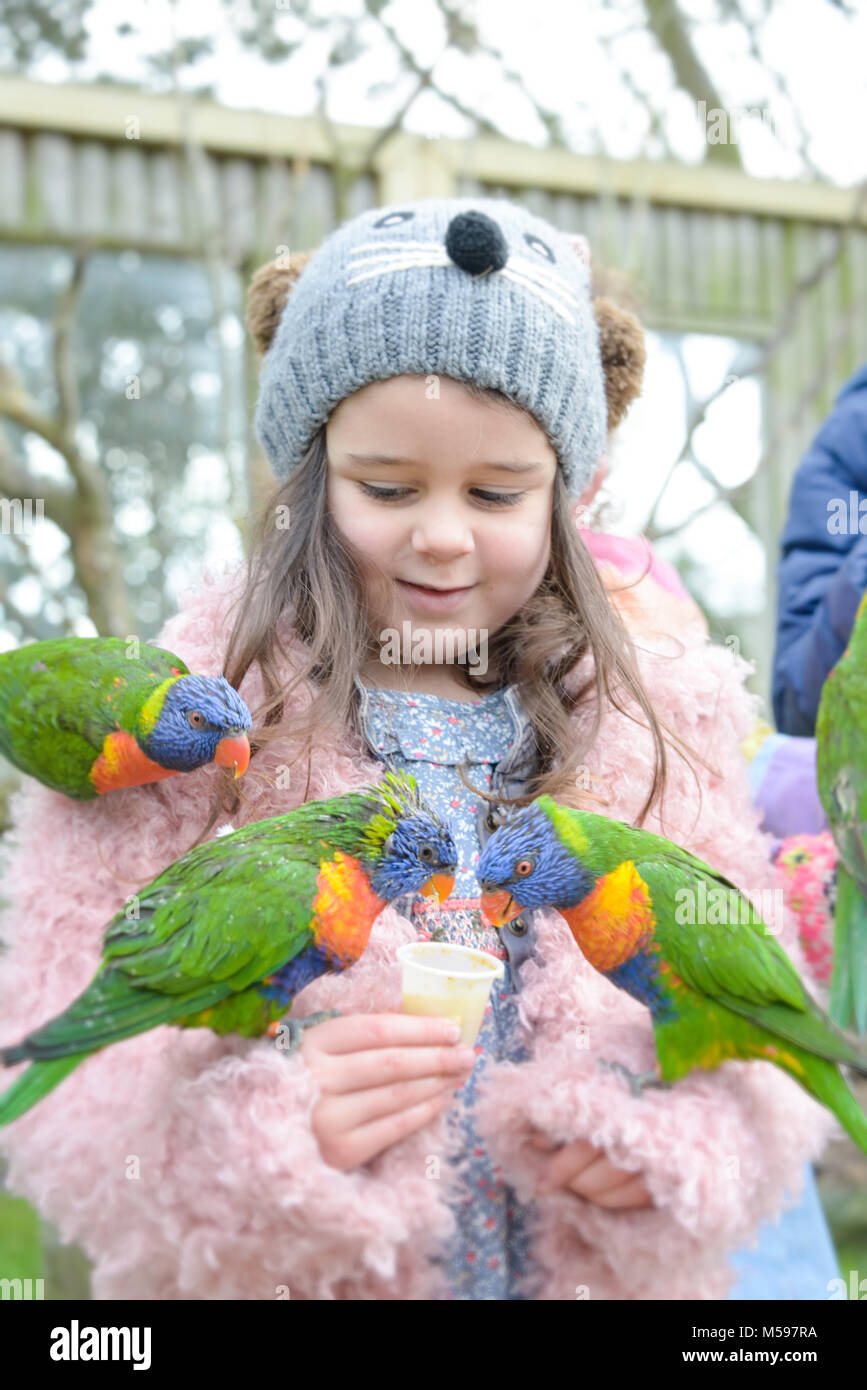 a group of children interacting with parakeets in a zoo enclosure Stock ...