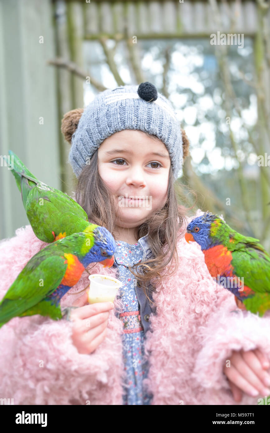 a group of children interacting with parakeets in a zoo enclosure Stock ...