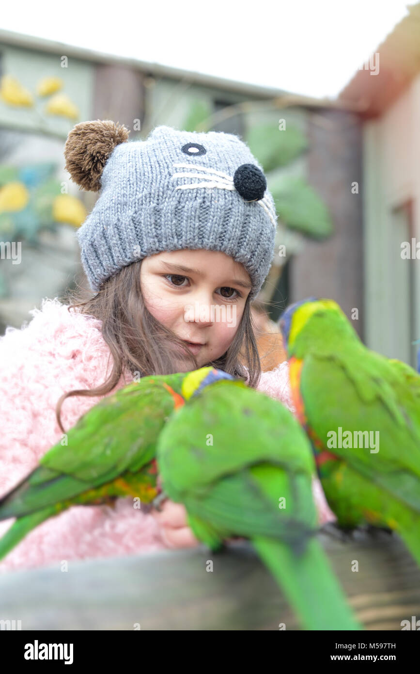 a group of children interacting with parakeets in a zoo enclosure Stock ...