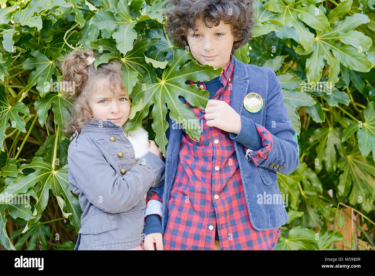 a group of children hide in some green bushes at a park Stock Photo - Alamy