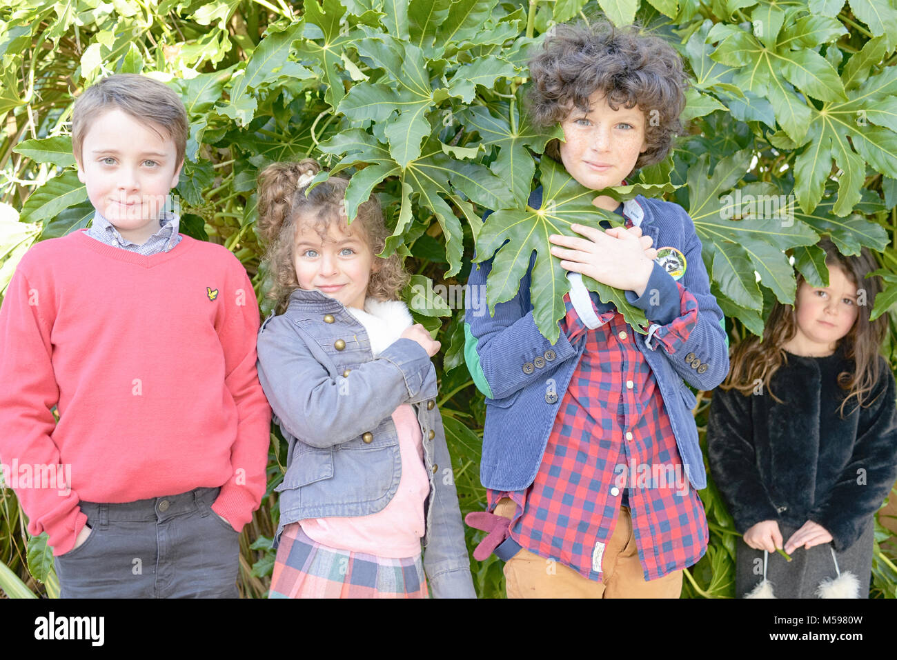 a group of children hide in some green bushes at a park Stock Photo - Alamy