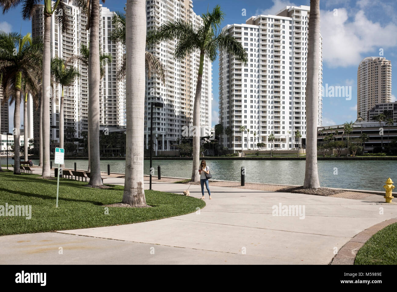 Woman walking dog and checking phone on the waterfront in downtown ...