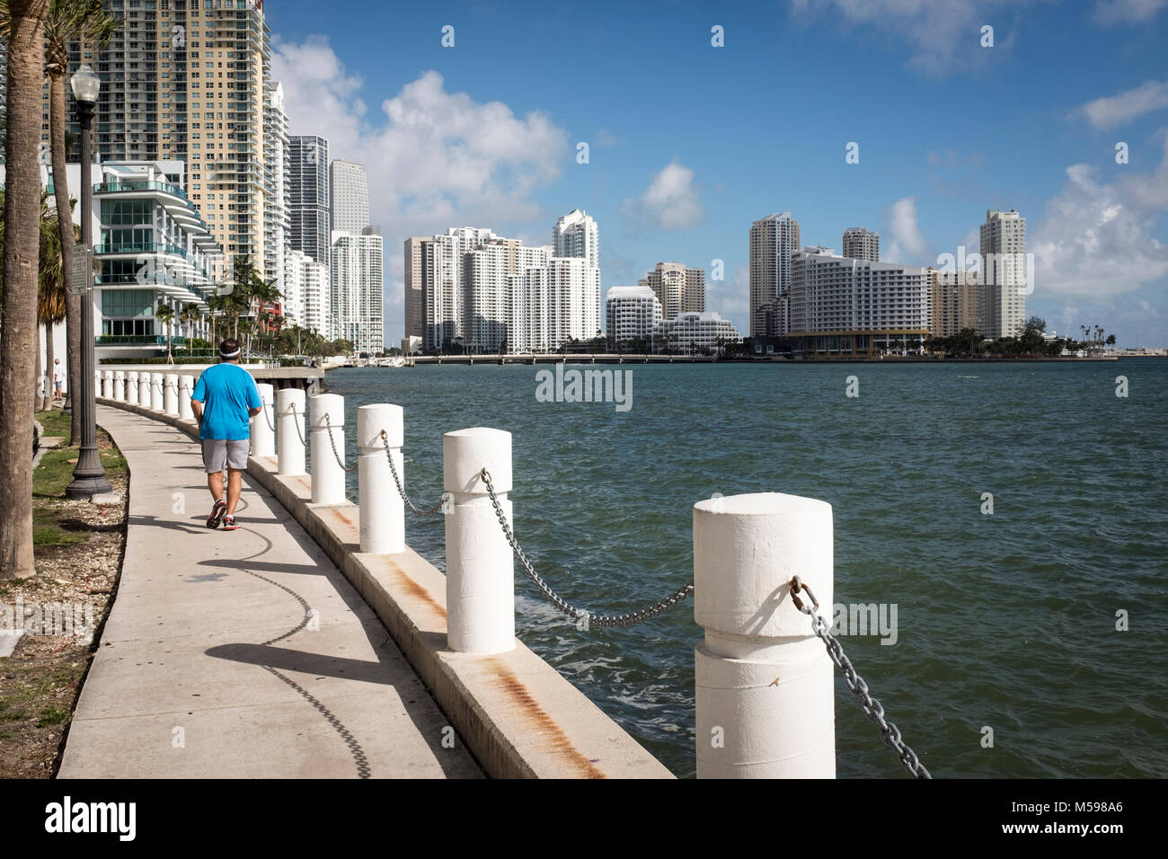 Man jogging along waterfront in Brickell, Miami, Florida, USA Stock ...