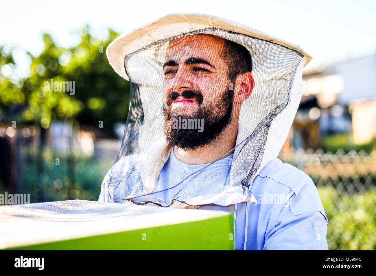 Young beekeeper works with bees and checking wooden frame just before ...