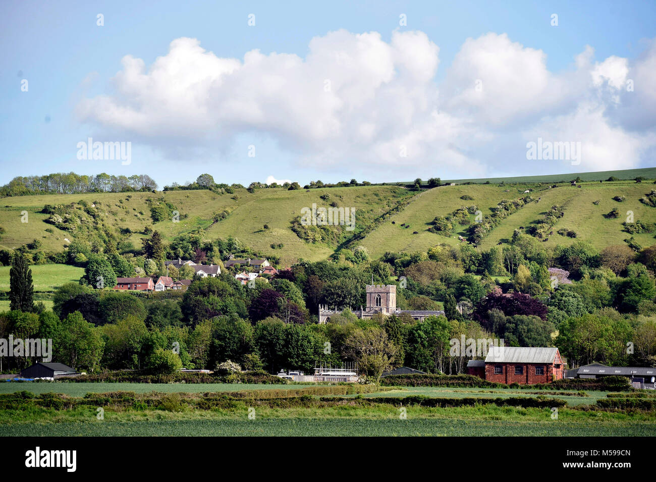 Edington, Wiltshire High Resolution Stock Photography and Images - Alamy
