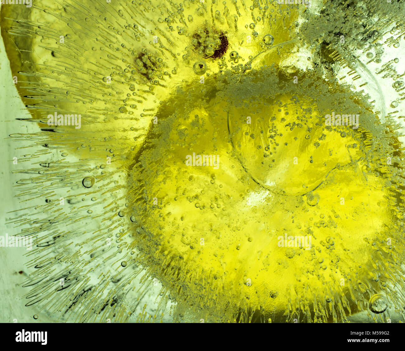 Lemon slices in Ice Stock Photo - Alamy