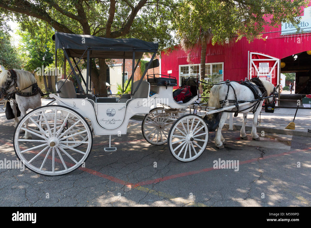 Palmetto carriage hi-res stock photography and images - Alamy
