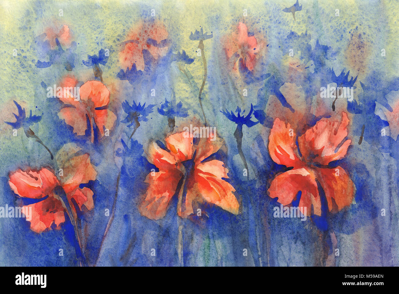 poppies and cornflowers watercolor background Stock Photo - Alamy
