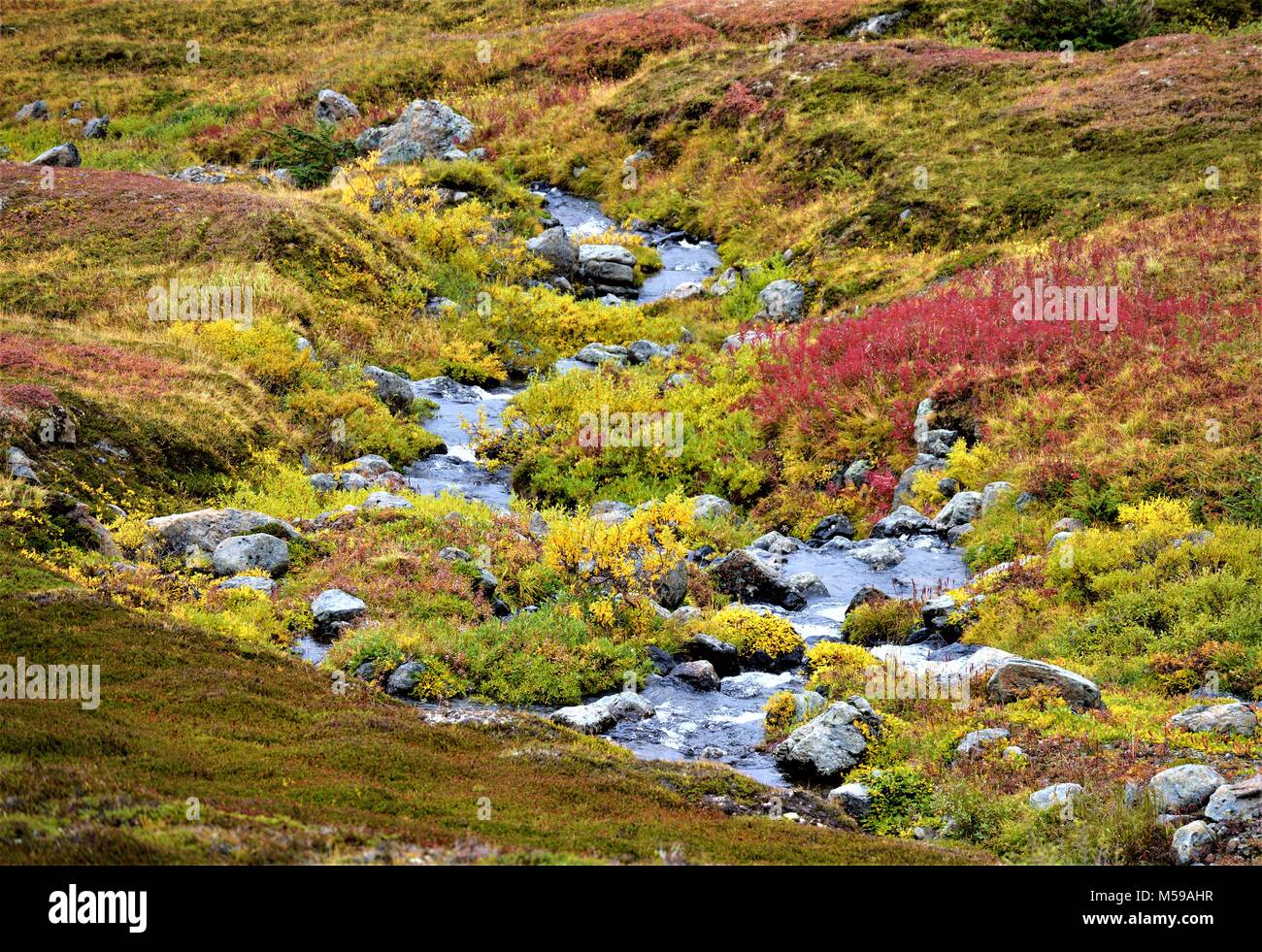 Small creek running down the side of a mountain in Alaska Stock Photo ...