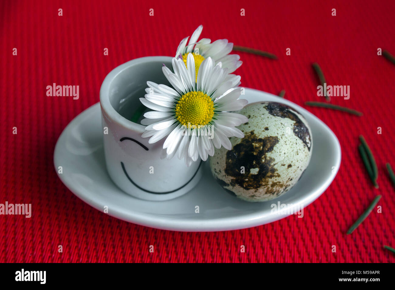 Between Spring and Winter. Still life with daisies Stock Photo - Alamy
