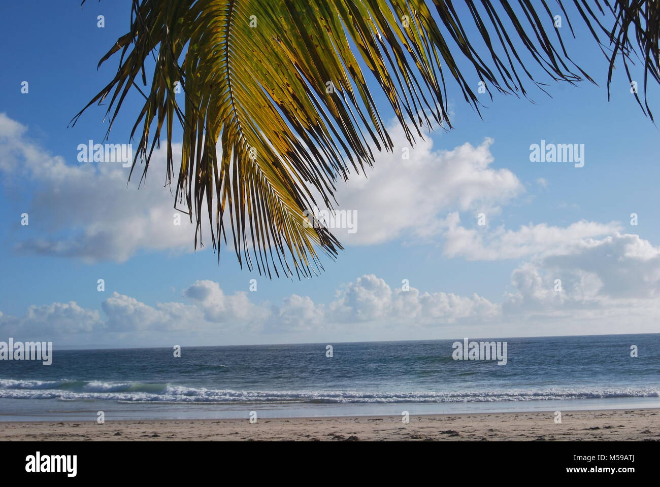 Indian Ocean-side in Mozambique Stock Photo - Alamy