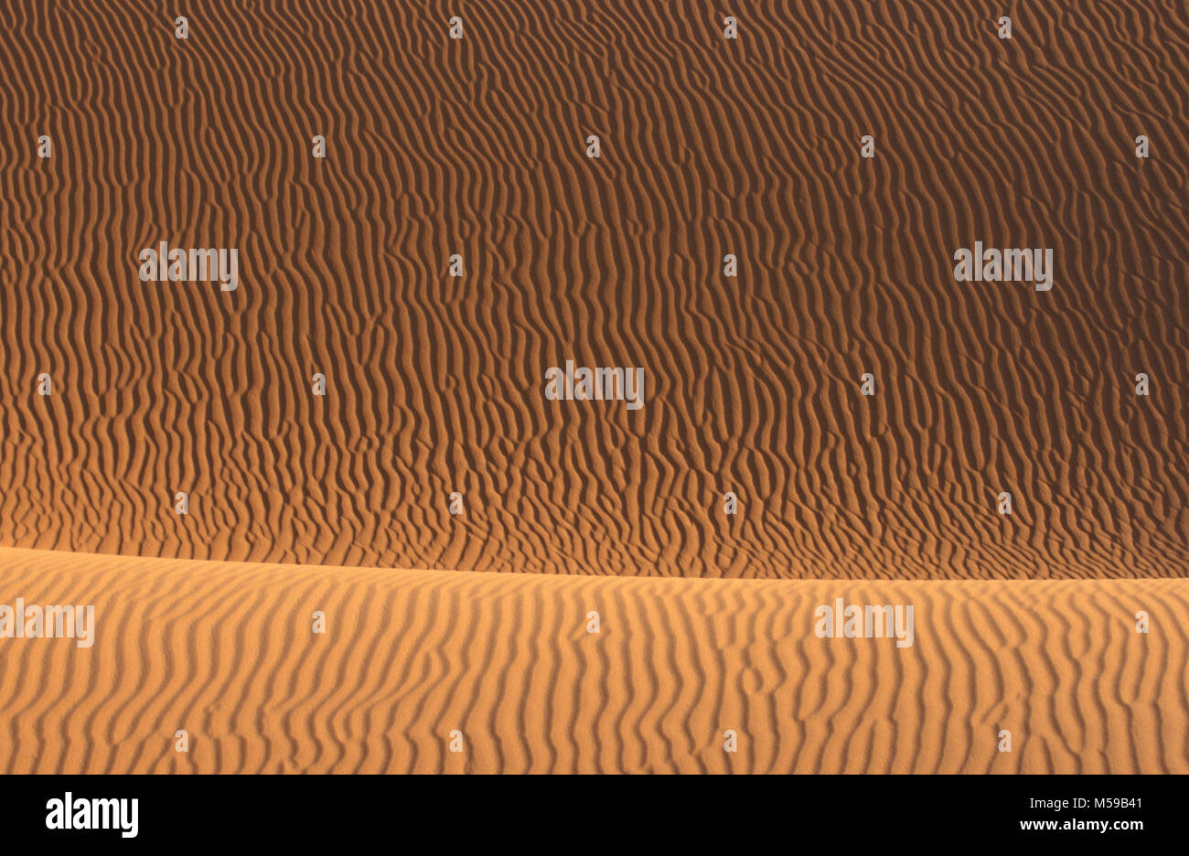 Libya. Near Ghat. VAN CASA sand sea. Sahara desert. Ripples on the sand ...