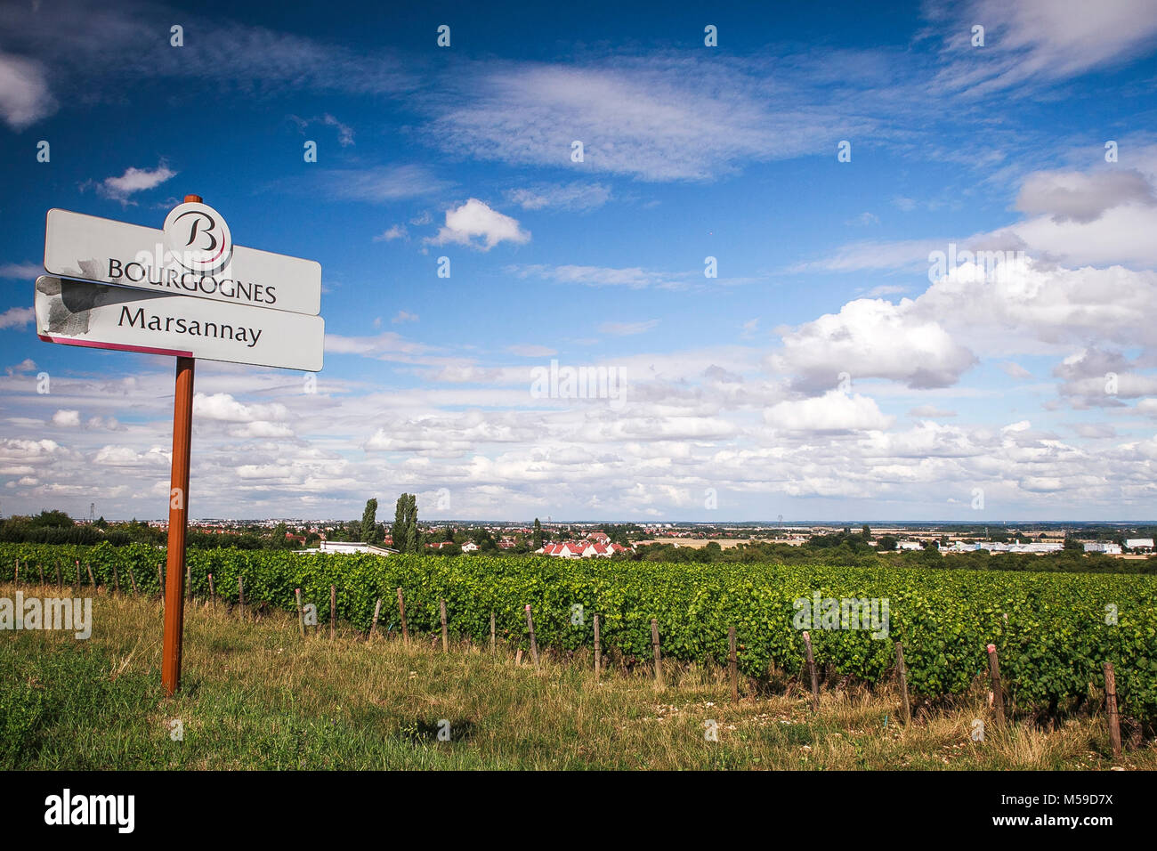 Marsannay vineyard hi-res stock photography and images - Alamy