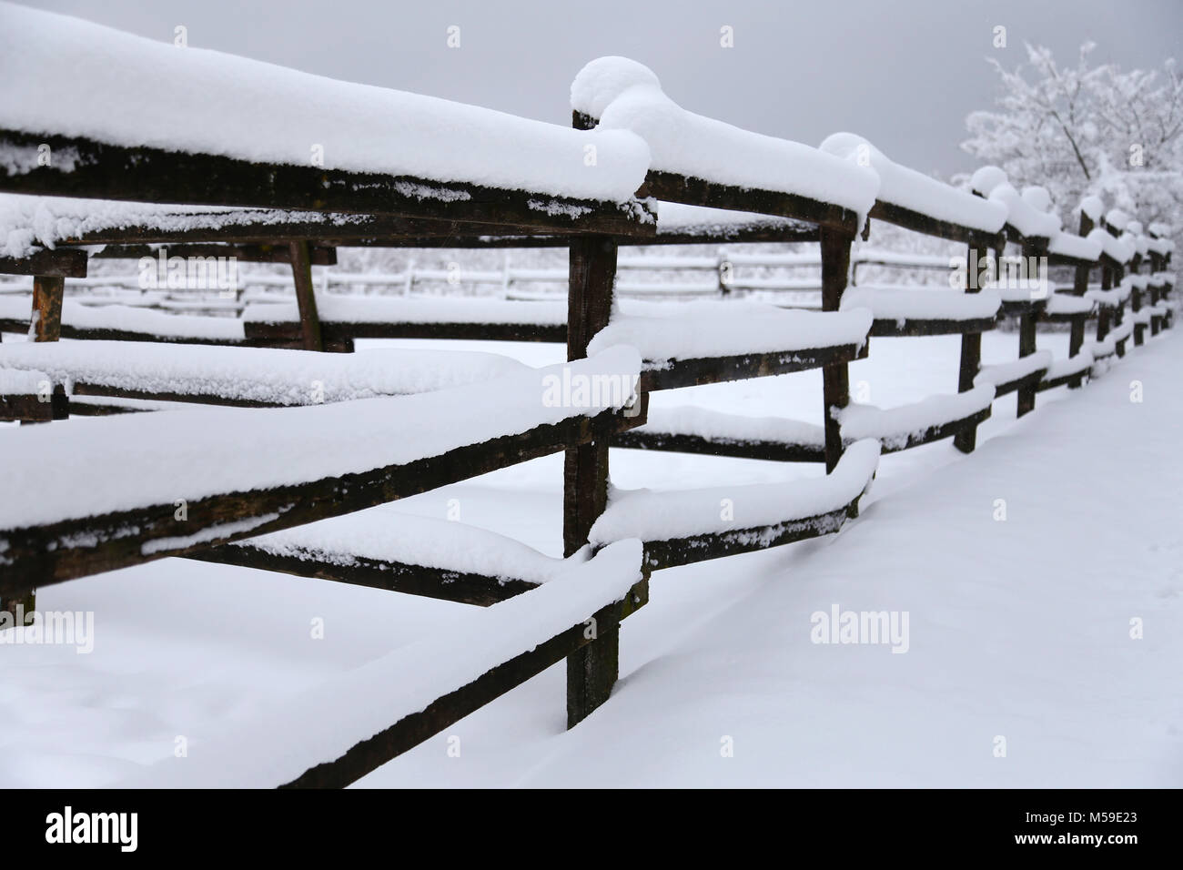 Full filled snowy winter ranch without horses rural scene Stock Photo ...