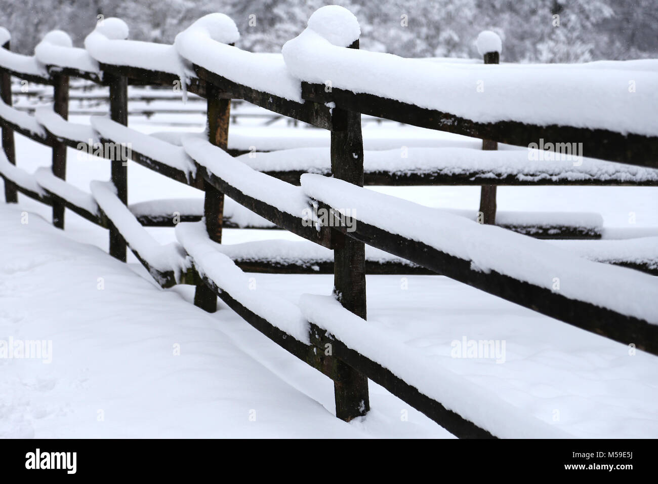 Old conventional corral hi-res stock photography and images - Alamy