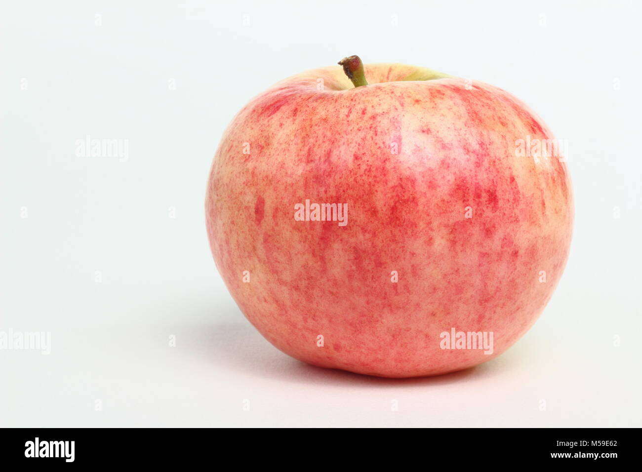 Monarch apples hi-res stock photography and images - Alamy