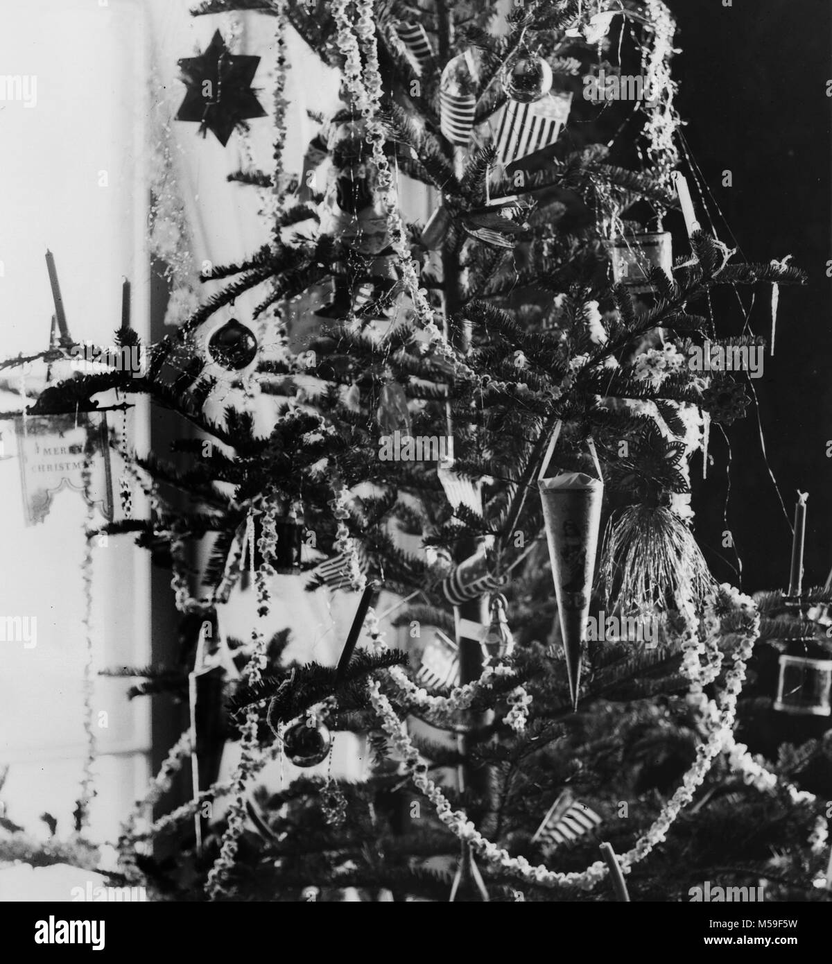 Vintage memories tree Black and White Stock Photos & Images - Alamy