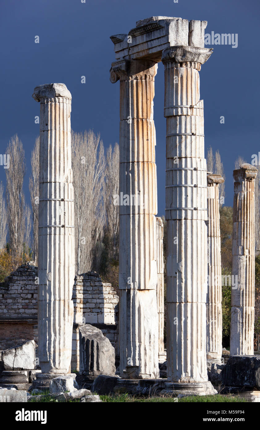 Columns of The Temple of Aphrodite in Aphrodisias ancient Greek city ...