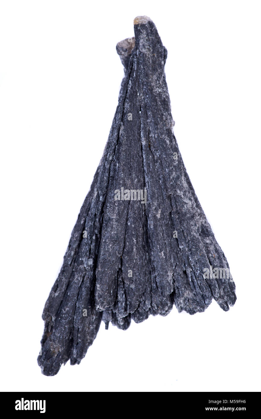 Well defined black Kyanite fan from Brazil, isolated on white ...