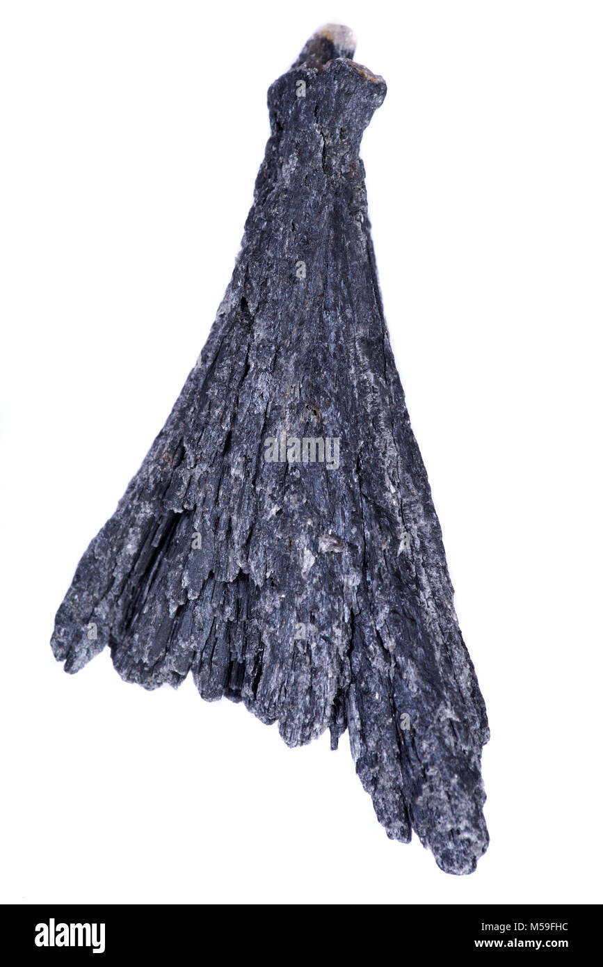 Well defined black Kyanite fan from Brazil, isolated on white ...