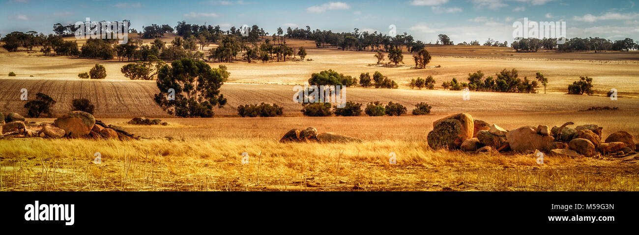 Green and yellow paddocks hi-res stock photography and images - Alamy