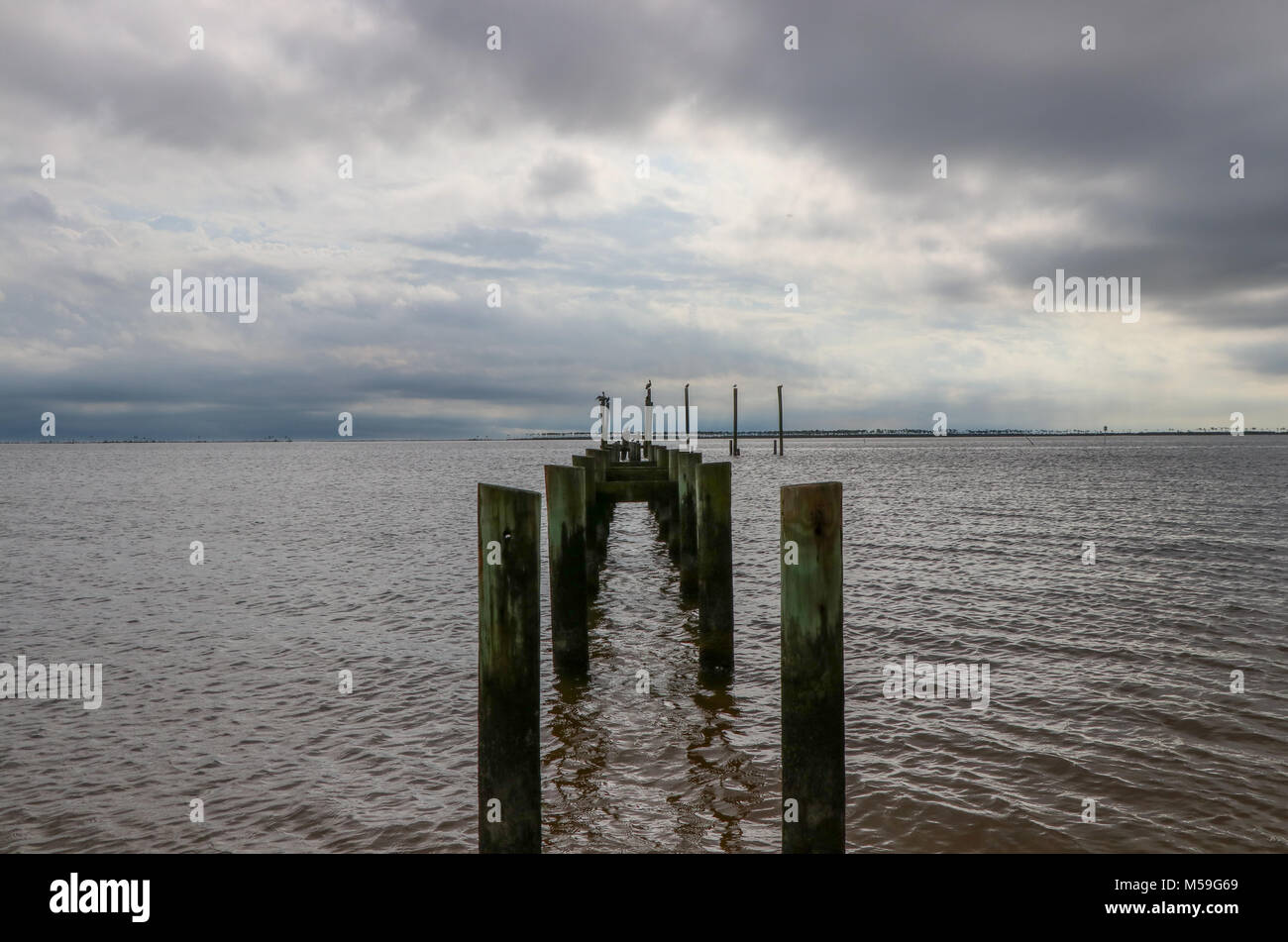 Old pilings on the beach Stock Photo - Alamy