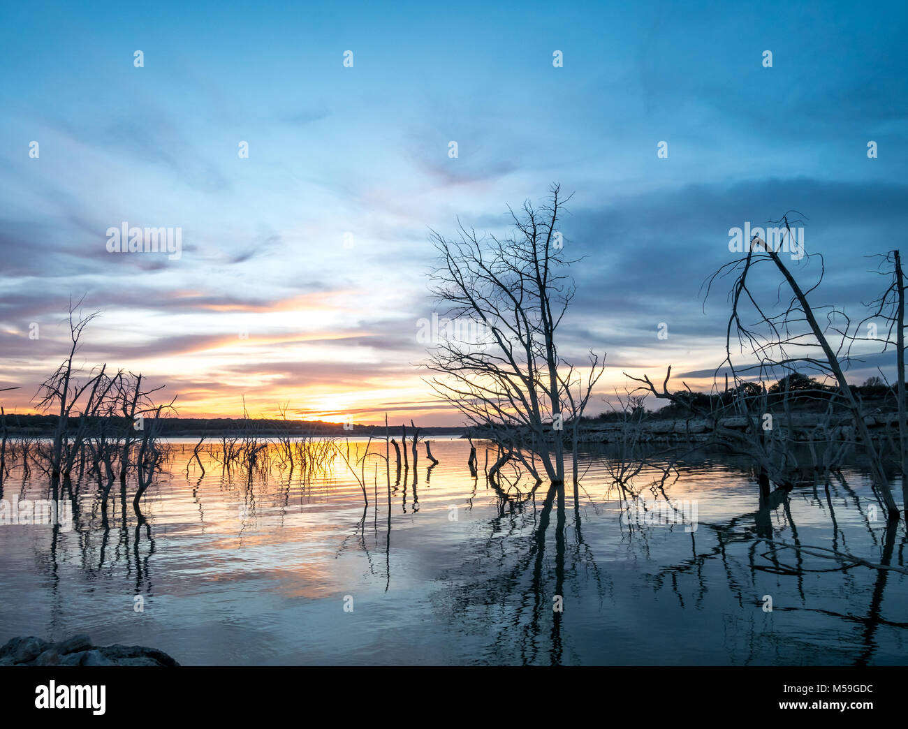 Sunset Over Large Texas Lake with Dead Trees Sticking out of the Water ...