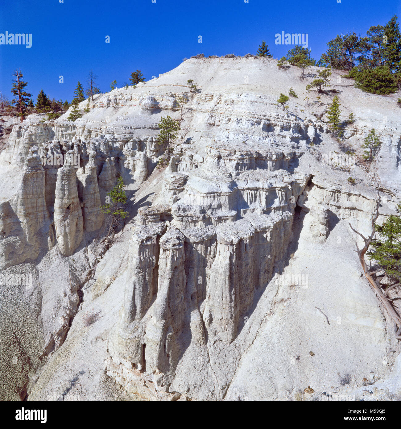 Mt 10509 hi-res stock photography and images - Alamy