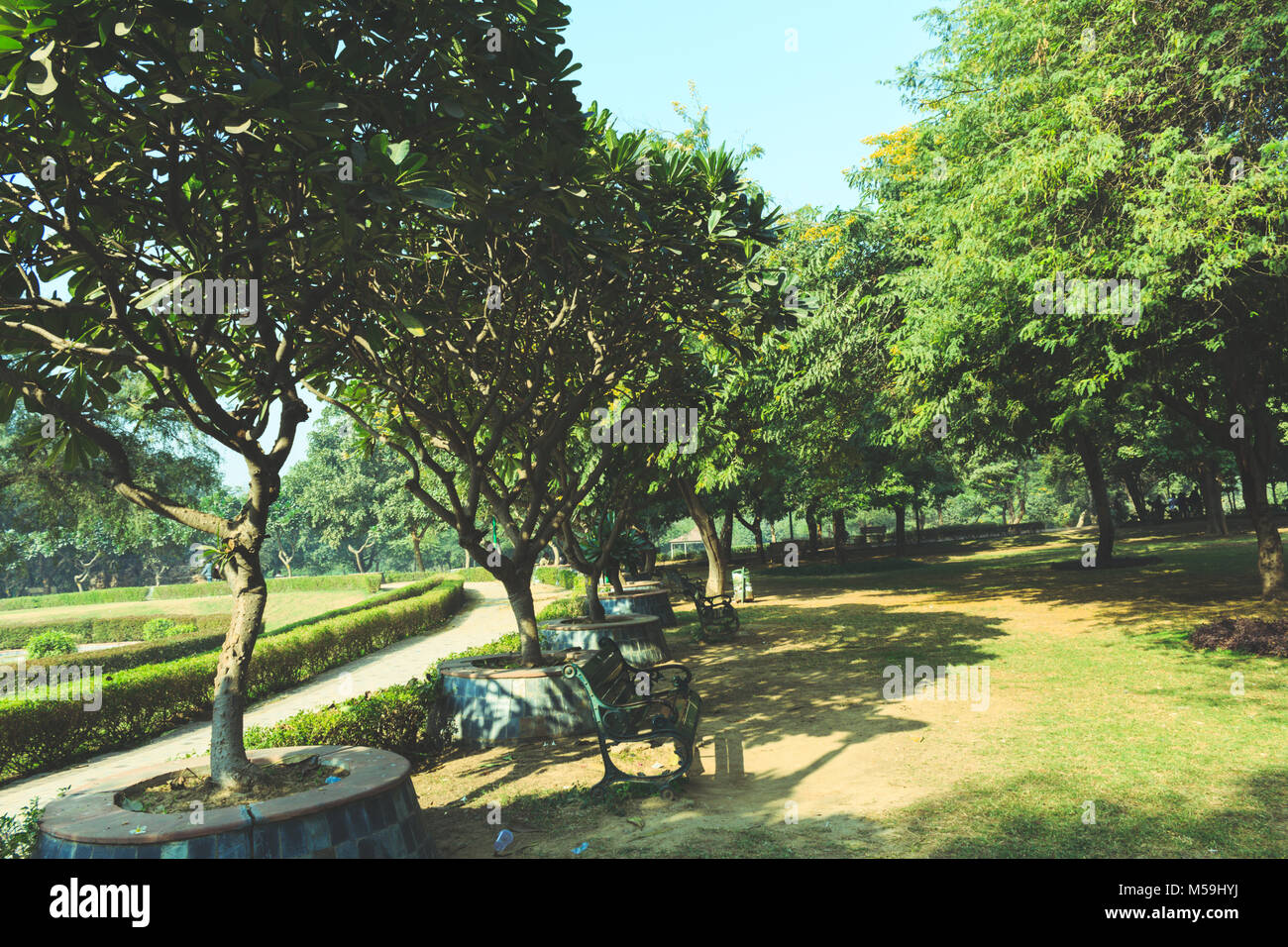 Parks, Forest, plants and green area wonderful landscape in India Stock ...