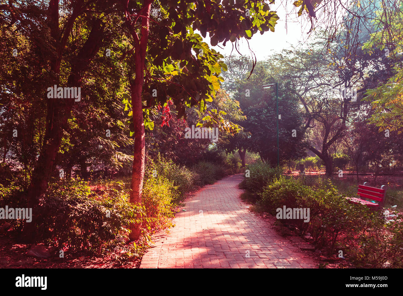 Parks, Forest, plants and green area wonderful landscape in India Stock ...