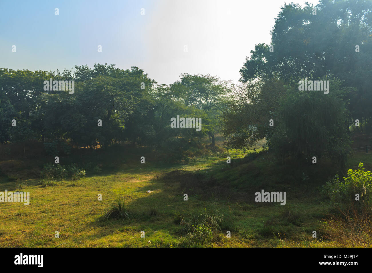 Parks, Forest, plants and green area wonderful landscape in India Stock ...