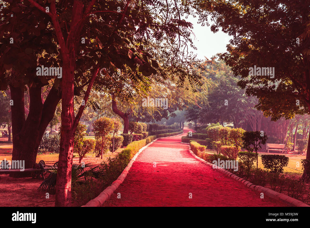 Parks, Forest, plants and green area wonderful landscape in India Stock ...