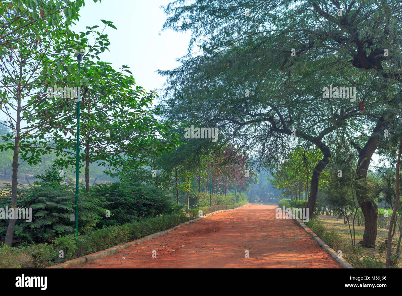 Parks, Forest, plants and green area wonderful landscape in India Stock ...