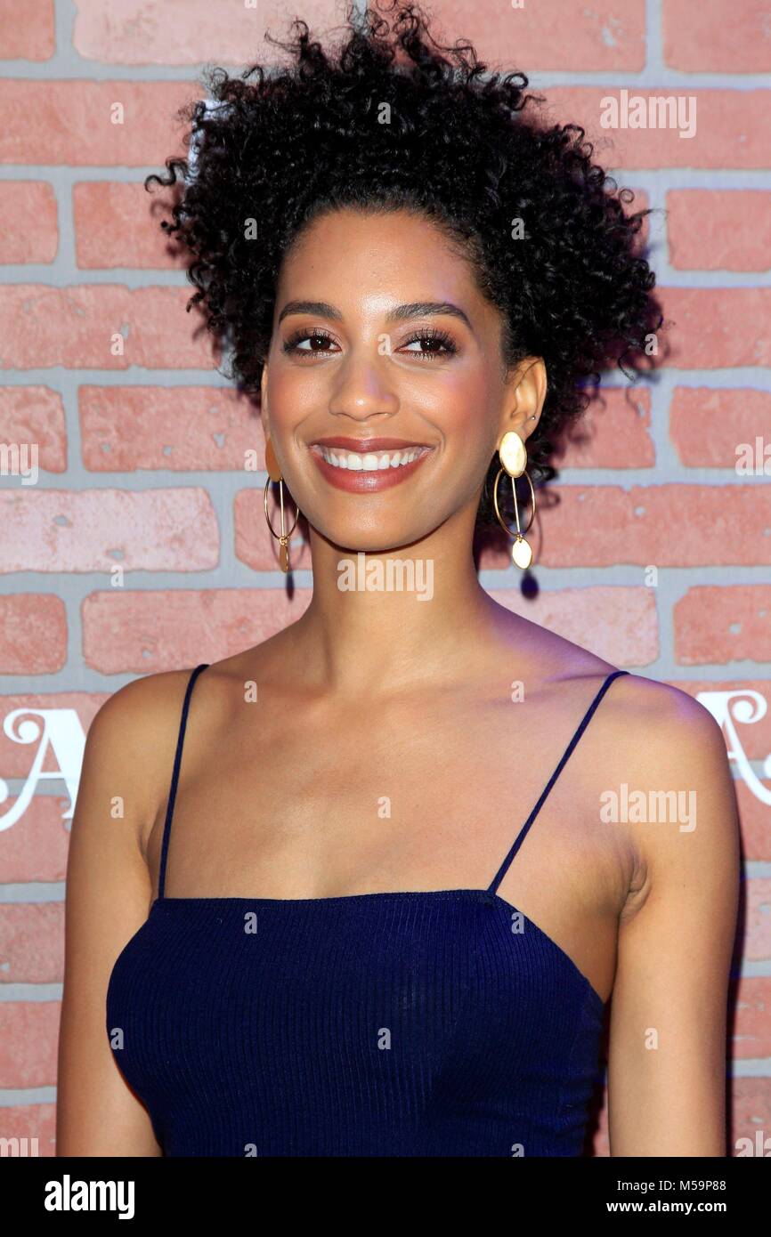 Los Angeles, CA, USA. 19th Feb, 2018. Stefani Robinson at arrivals for ...