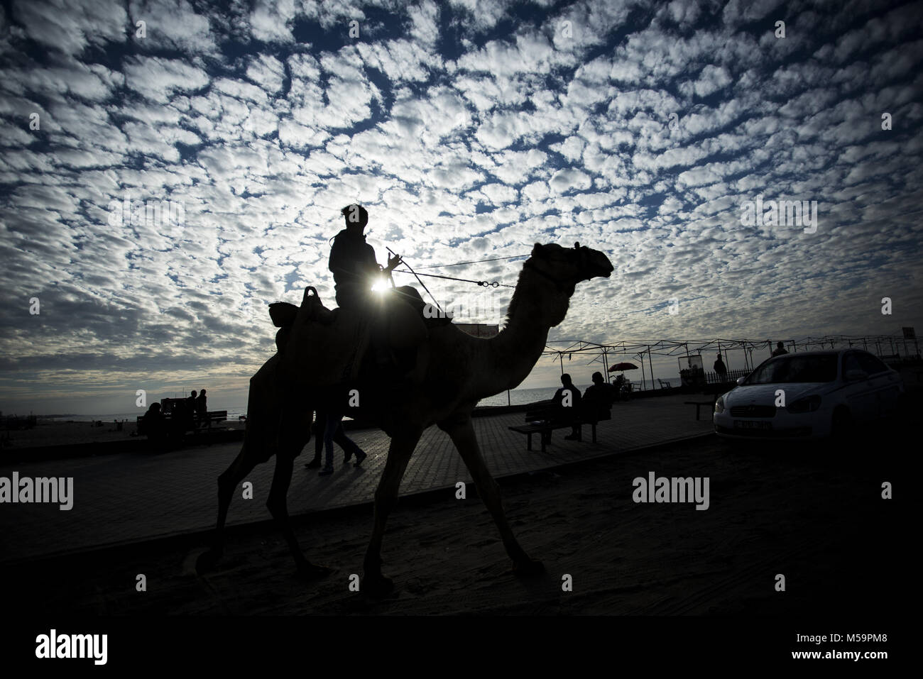 Gaza City, The Gaza Strip, Palestine. 20th Feb, 2018. Palestinians ...