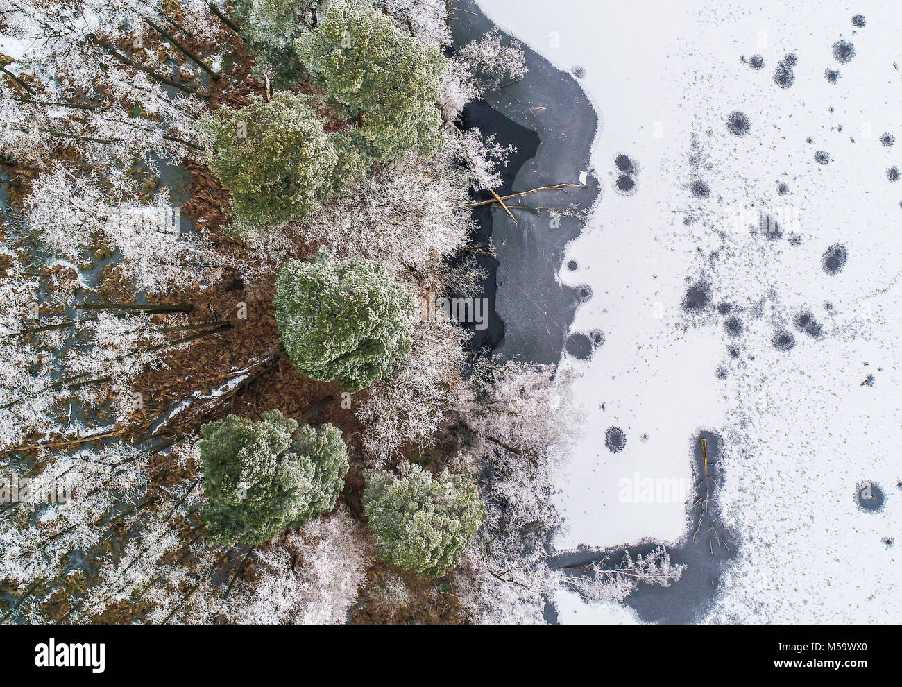 Treplin, Germany. 15th Feb, 2018. 15.02.2018, Brandenburg, Treplin ...