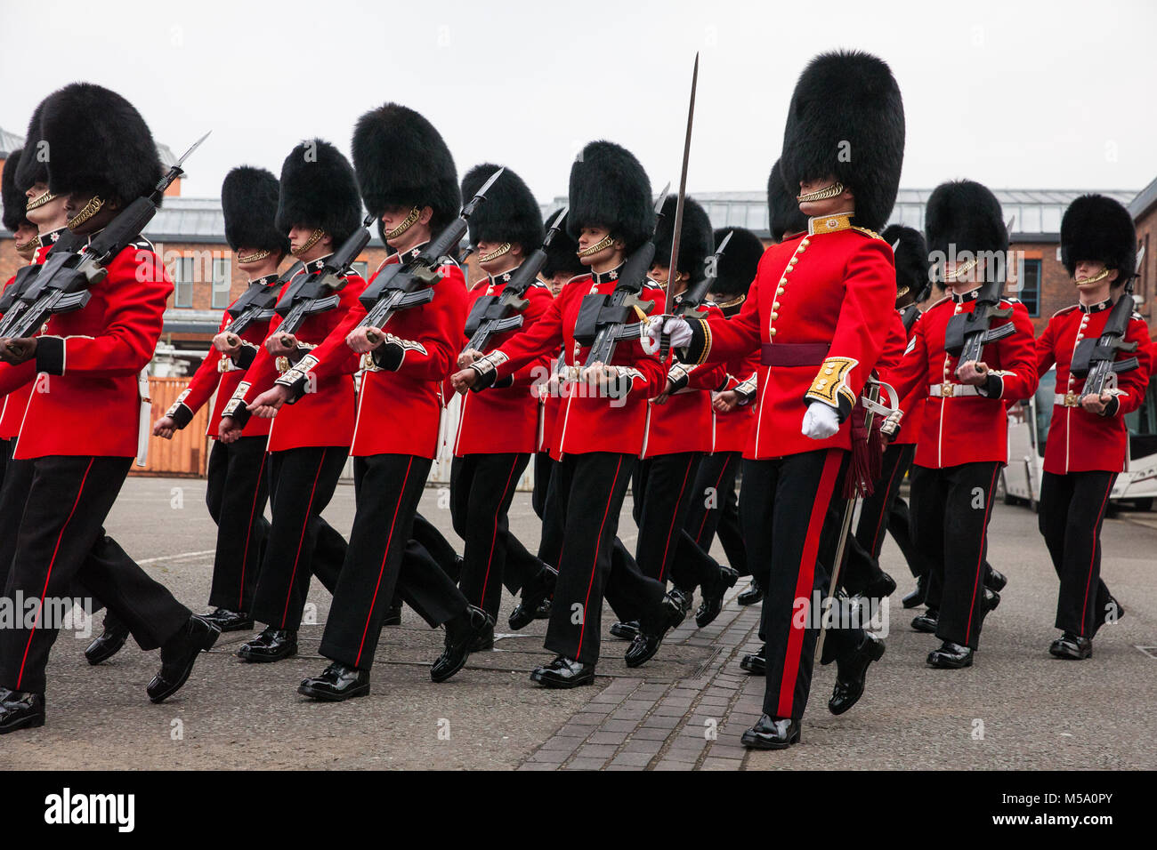 Drill sergeant coldstream guards hi-res stock photography and images ...