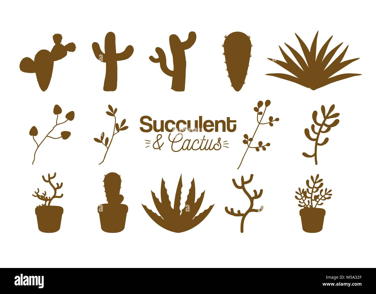 Succulent and cactus desert plants Stock Vector Image & Art - Alamy