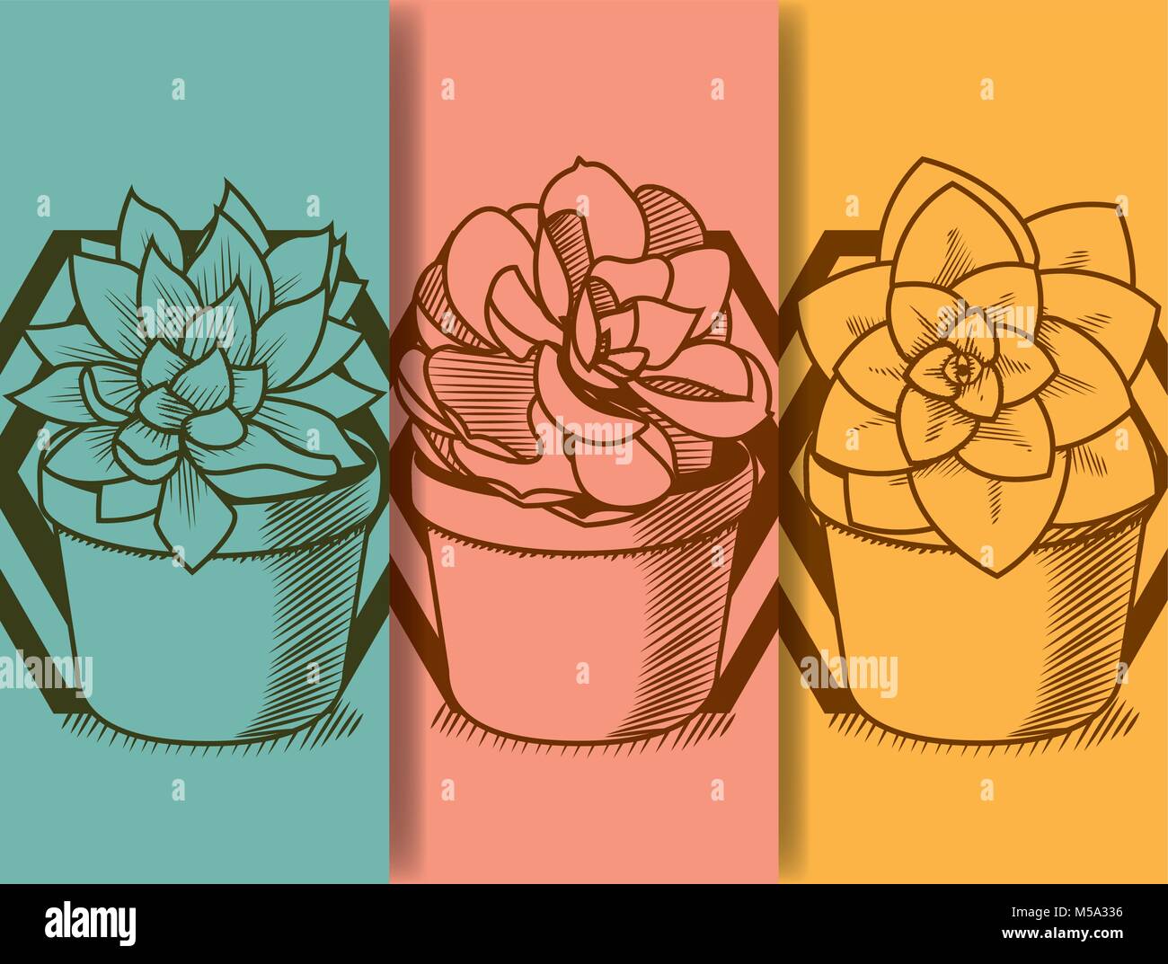 Succulent in pot hand drawing Stock Vector Image & Art - Alamy