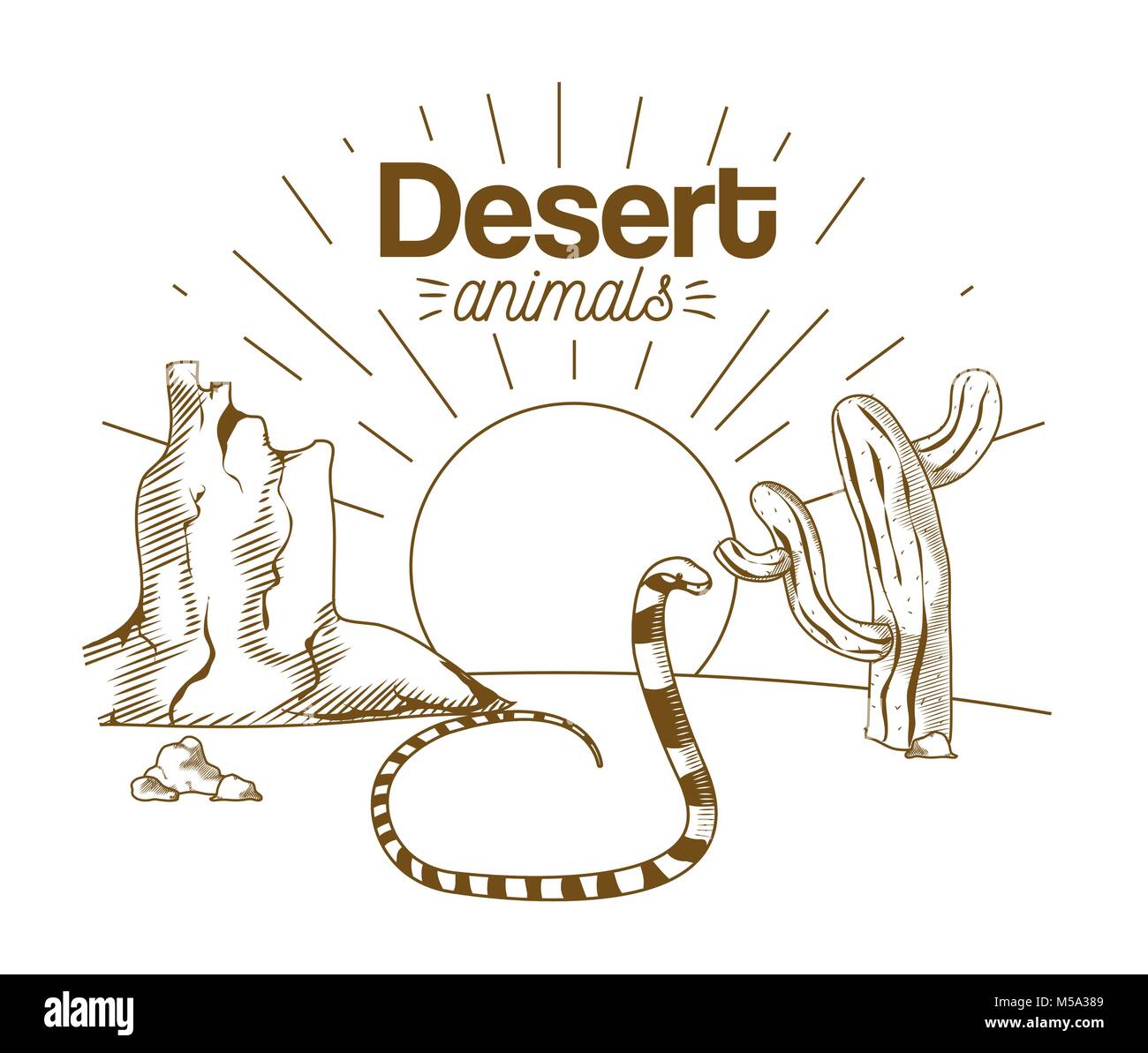 Desert animals hand drawing cartoon Stock Vector Image & Art - Alamy