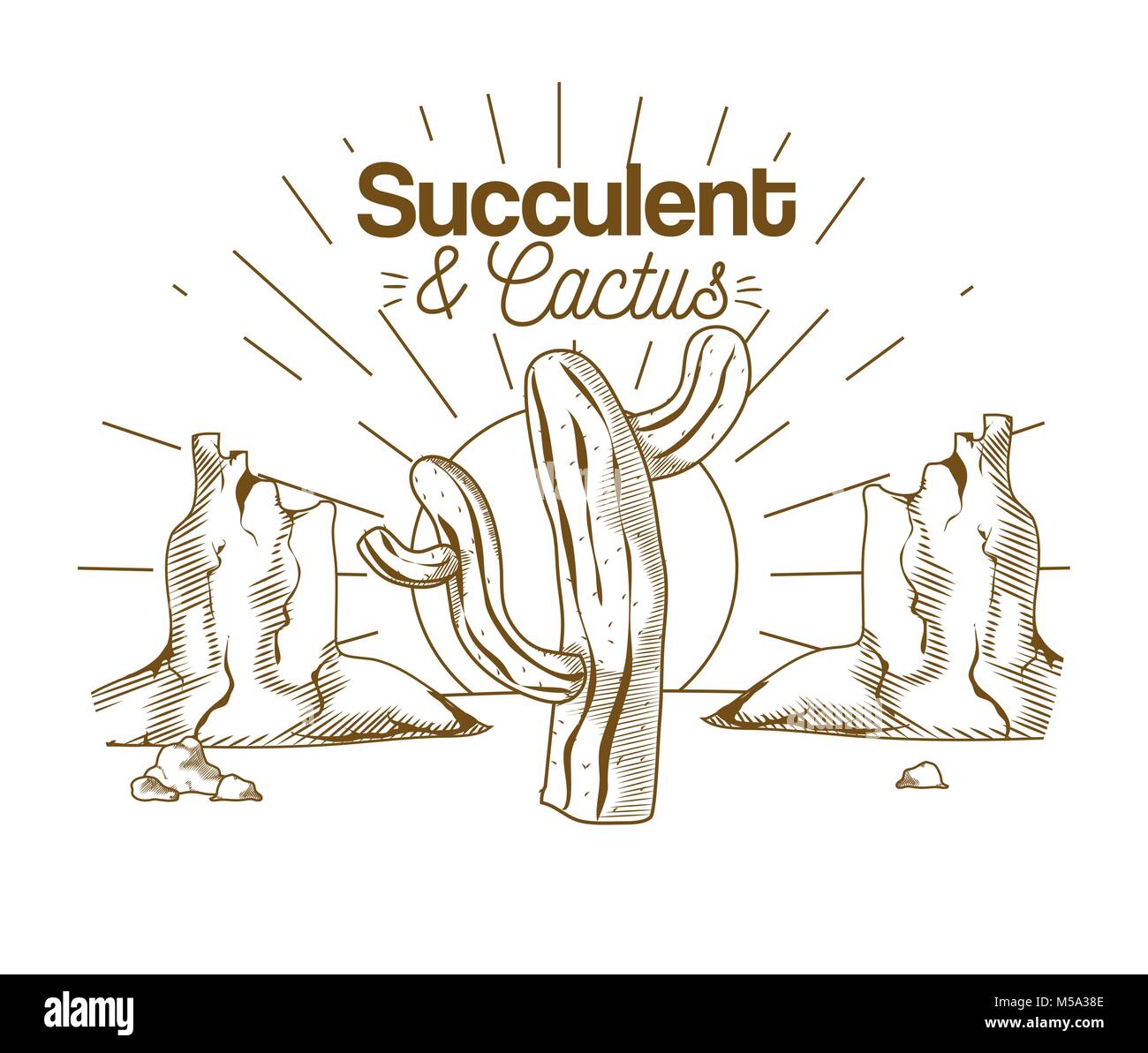 Desert succulents Stock Vector Images - Alamy
